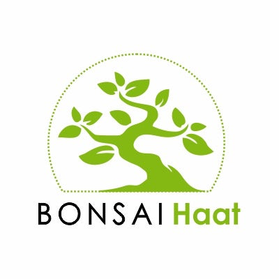 Home page – The Bonsai Haat